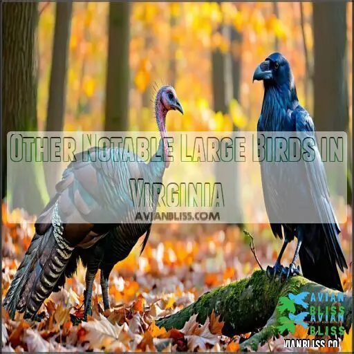 Large Birds in Virginia: Raptors, Waterbirds, Owls & More!