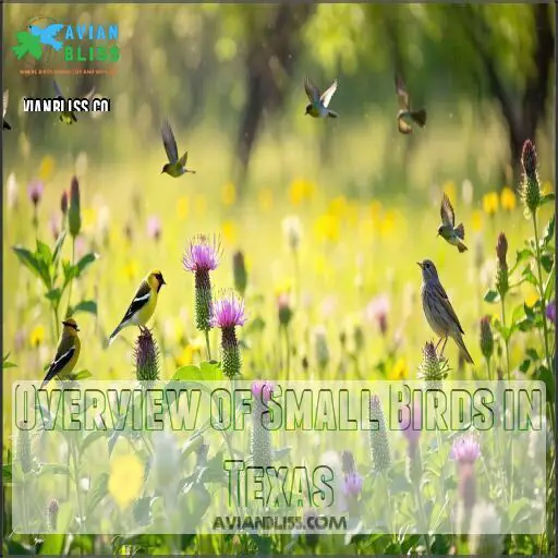 Small Birds in Texas: ID Guide to Sparrows, Wrens, Warblers & More