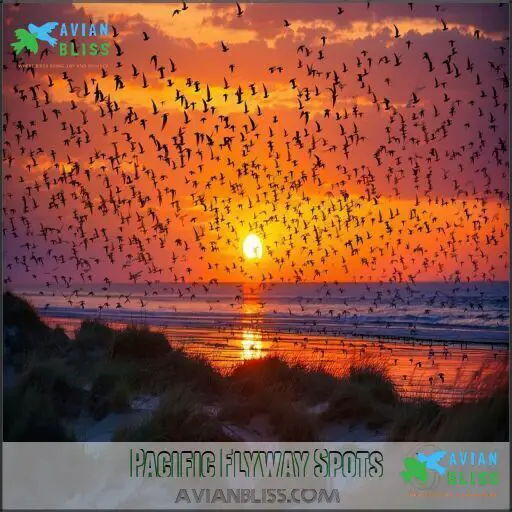 Fall Bird Migration Best Viewing Spots: 15 Breathtaking Locations (2025)