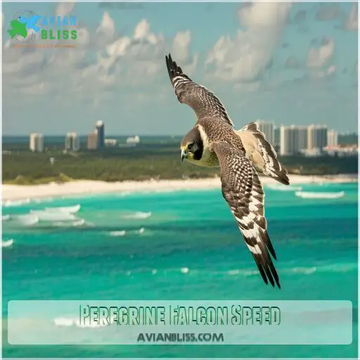 Falcons in Florida: Types, Habitats, and Where to Spot Them