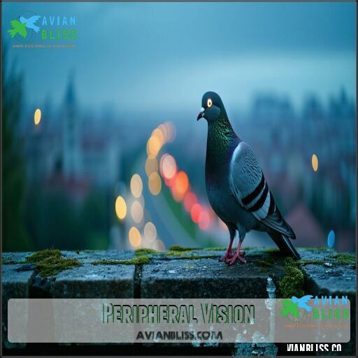 Can Pigeons See at Night? The Surprising Truth Revealed!
