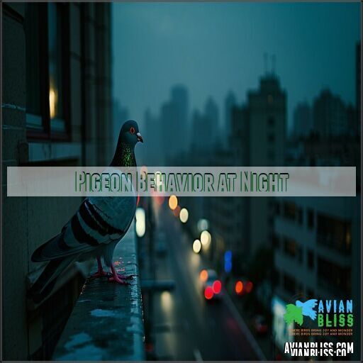 Can Pigeons See at Night? The Surprising Truth Revealed!