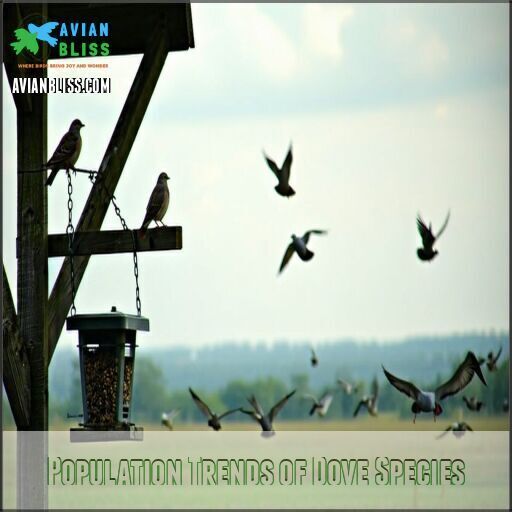 Doves in North Carolina: Types, Habitats, and Fascinating Behaviors