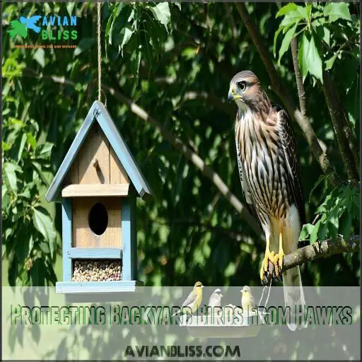 Why Do Hawks Eat Other Birds? Learn Their Diet and Hunting Secrets