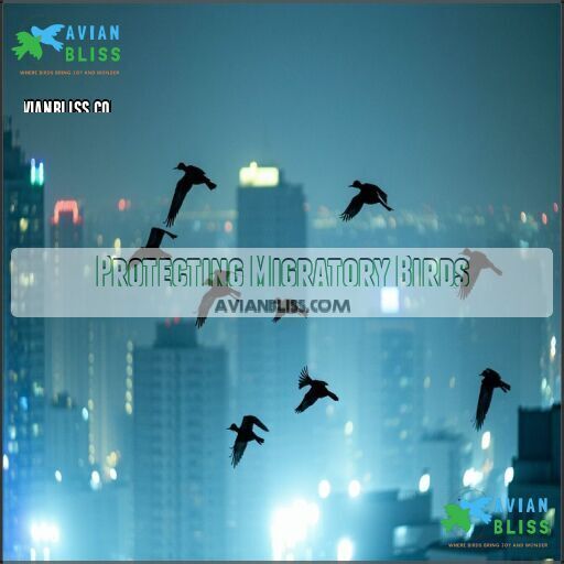 Facts About Birds in Urban Areas: How Cities Are Changing Bird Life