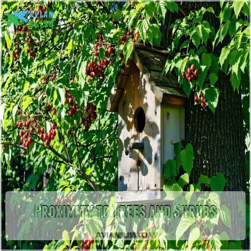 Bird Nesting Box Tips: Placement, Maintenance & Design Secrets