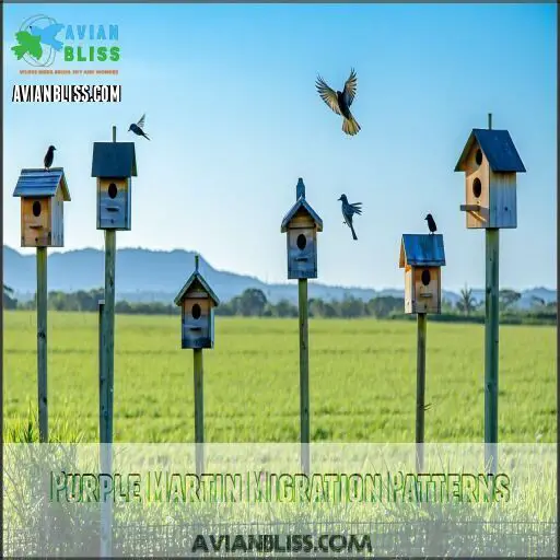 Bird Houses Attracting Purple Martins: Best Tips for Placement & Design