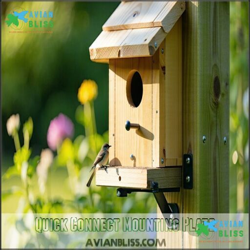 Bird House Mounting Pole Solutions: 9 Best Options That Birds Love in 2025