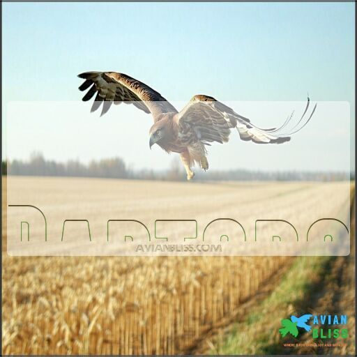 What Do Different Birds Eat? 12 Shocking Feeding Habits Revealed!