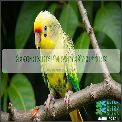 Avian Parasite Control: 7 Warning Symptoms That Mean Your Birds Need Help