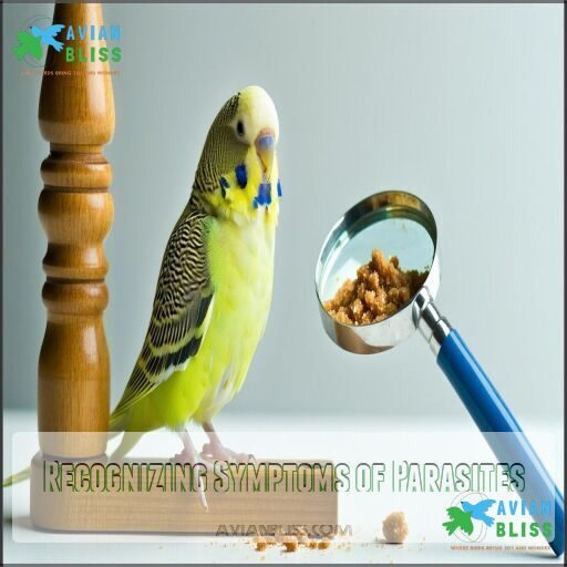 Avian Parasite Control in Domestic Birds: Tips to Protect Your ...