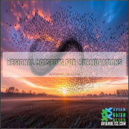 Where to See Starling Murmuration in The USA: Top Locations Revealed