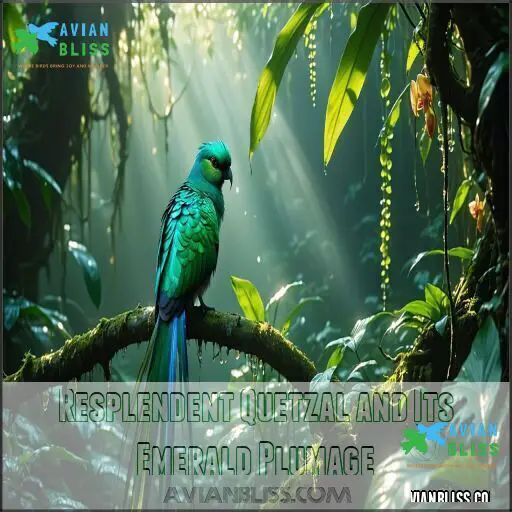 Bird Facts About Tropical Birds: Vibrant Colors, Habitats, and Species