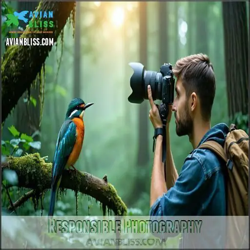 Responsible Bird Watching Guidelines: Ethical Tips for Bird Lovers