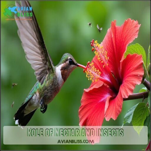 Do Hummingbirds Eat Bugs? Learn What Insects Are on Their Menu!