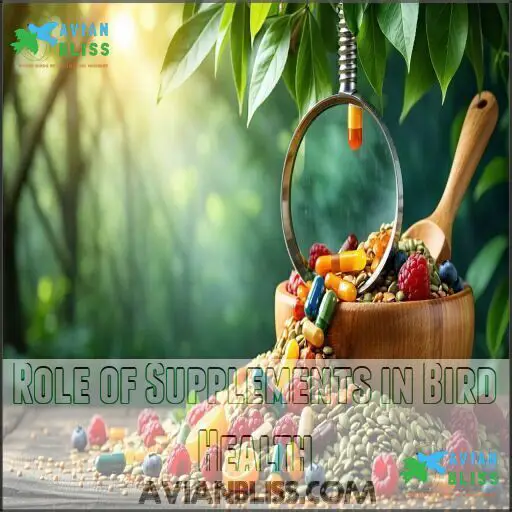 Organic Bird Food Without Sunflower Seeds: Top 5 Healthy Seedless Blends