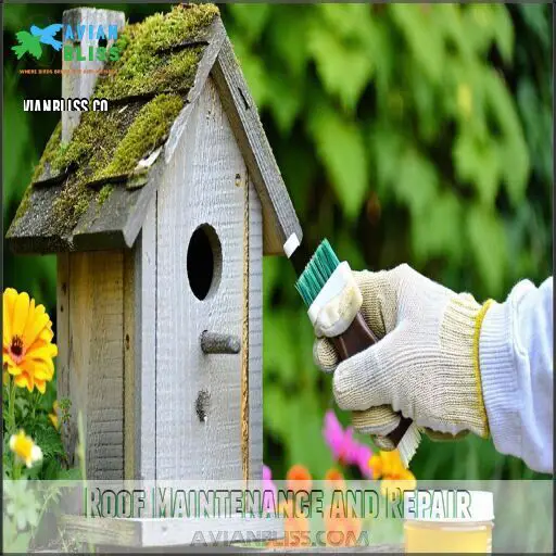 Bird House Roof Designs: 15 Stunning Styles to Attract More Feathered ...