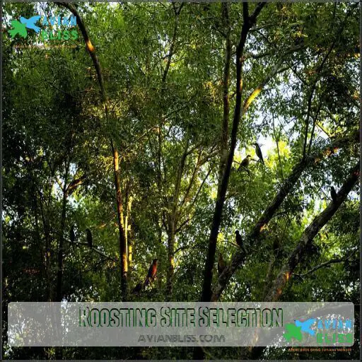 Where Do Birds Sleep at Night? Fascinating Facts About Roosting Birds