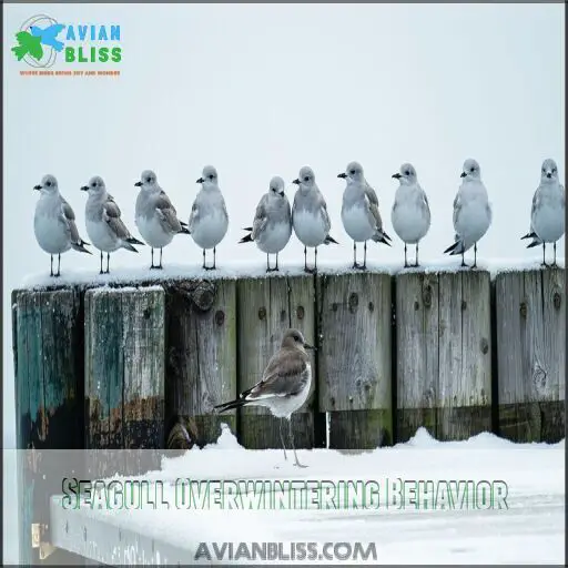 Do Seagulls Migrate? Secret Winter Journeys Revealed! (2025 Guide)