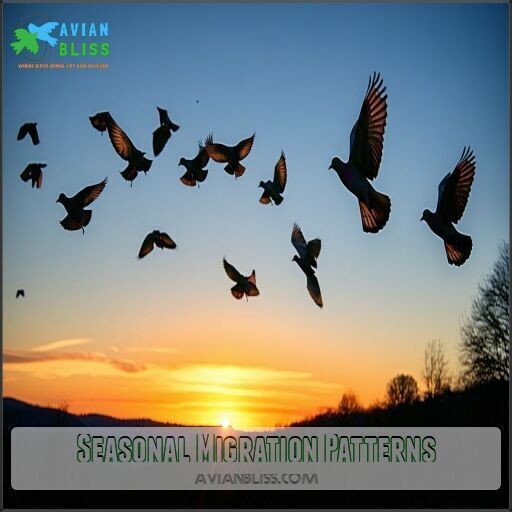 Doves in North Carolina: Types, Habitats, and Fascinating Behaviors