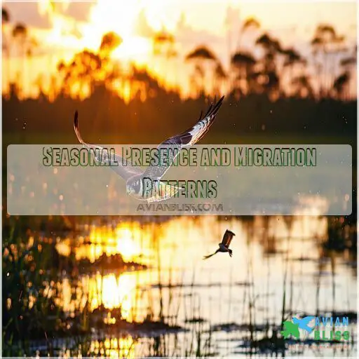 Falcons in Florida: Types, Habitats, and Where to Spot Them