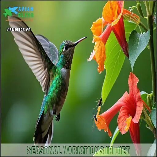 Do Hummingbirds Eat Bugs? Learn What Insects Are on Their Menu!