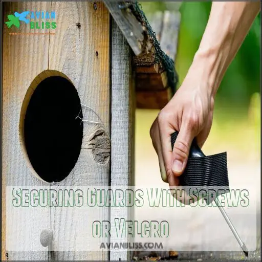 Bird House Predator Guard Installation: Protect Birds With These Tips
