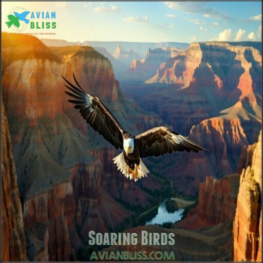 Facts About Bird Anatomy Wings: Structure, Shapes, and Flight Explained