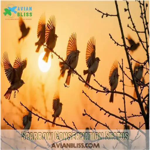 Do Sparrows Migrate? Fascinating Facts About Their Seasonal Movements