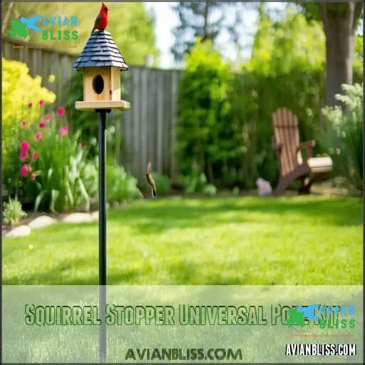 Bird House Mounting Pole Solutions: 9 Best Options That Birds Love in 2025