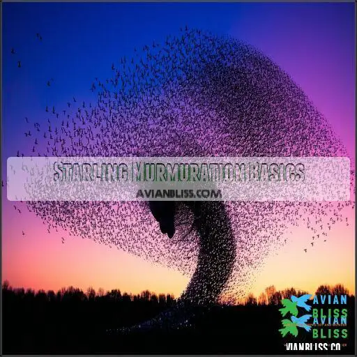 Where to See Starling Murmuration in The USA: Top Locations Revealed
