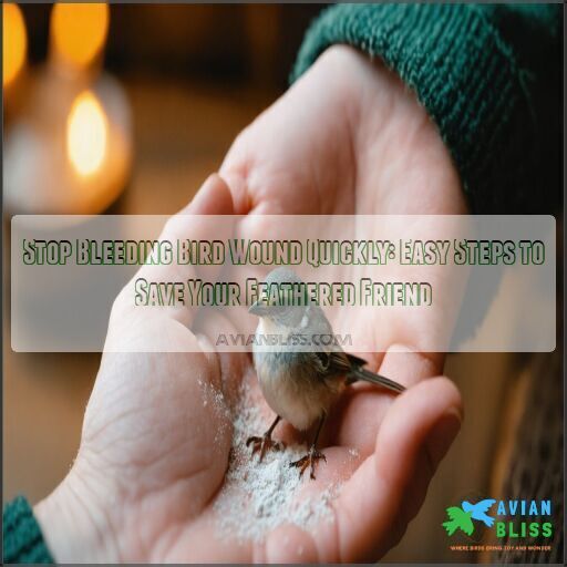 Stop Bleeding Bird Wound Quickly: Easy Steps to Save Your Feathered Friend