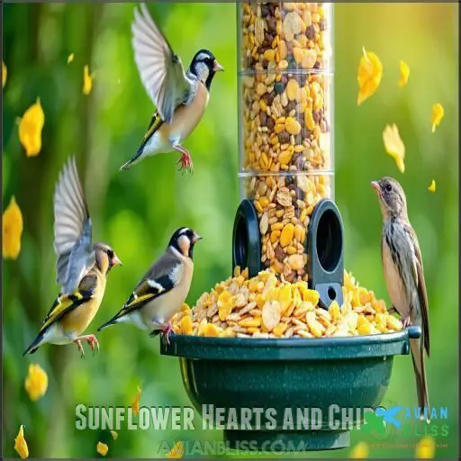 Do Birds Eat Sunflower Seeds Whole? The Answer Will Shock You!