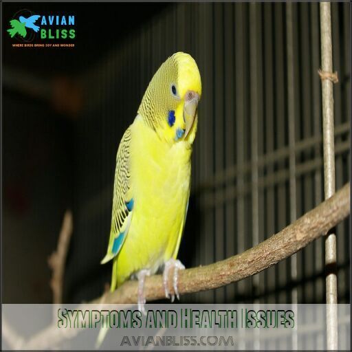 Recognizing Vitamin Deficiency in Birds: 7 Warning Signs Every Owner ...