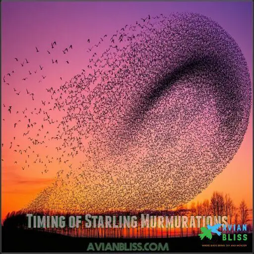 Where to See Starling Murmuration in The USA: Top Locations Revealed