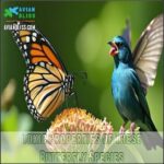 Do Birds Eat Butterflies? Toxic Species and Surprising Eaters