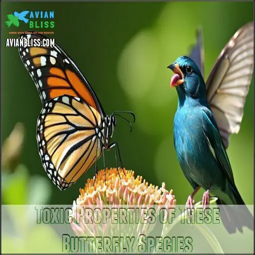 Do Birds Eat Butterflies? Toxic Species and Surprising Eaters