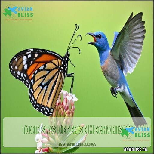 Do Birds Eat Butterflies? Toxic Species and Surprising Eaters