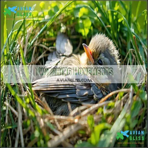How to Tell if a Bird is Dead or Just Stunned: 7 Critical Signs to Know ...