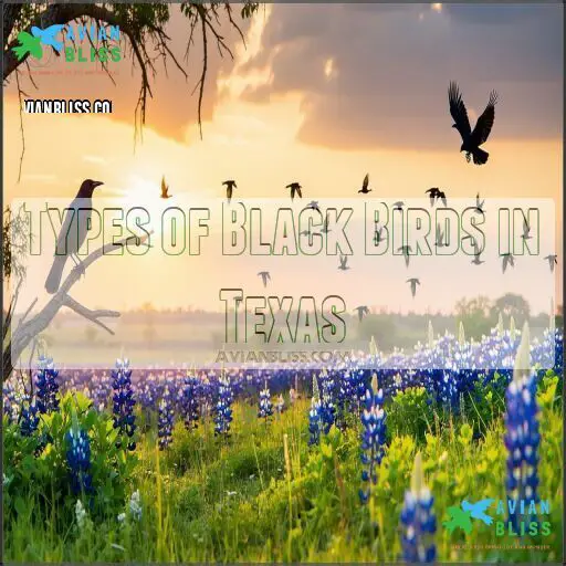 Black Birds in Texas: Top Species, ID Guide & Unique Traits
