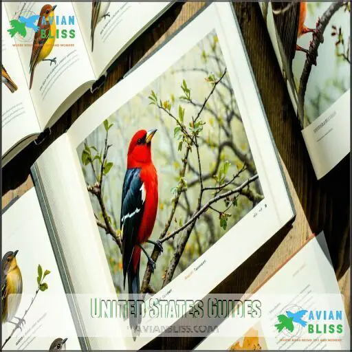 Bird Identification Book Comparison: Top Guides for Every Birdwatcher