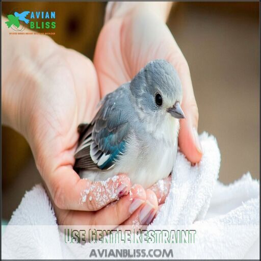 Stop Bleeding Bird Wound Quickly: Easy Steps to Save Your Feathered Friend