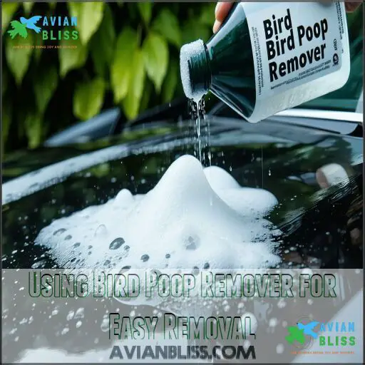 Bird Poop Removal: Tips to Clean Droppings From Any Surface Easily