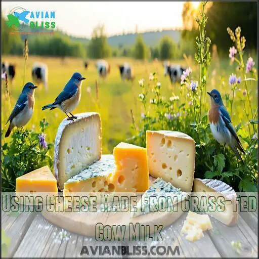 Can Birds Eat Cheese? Safe Options, Risks, and Feeding Guide