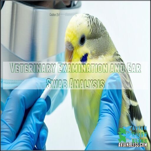 Avian Head Tilting Disease: 5 Warning Signs Every Bird Owner Must Know