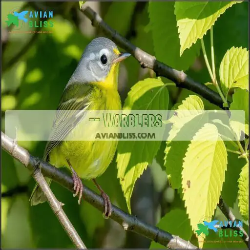 Small Birds in Texas: ID Guide to Sparrows, Wrens, Warblers & More