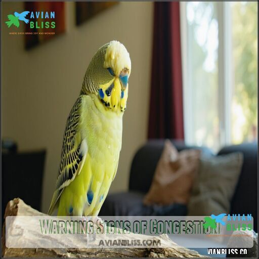 Home Remedies Bird Congestion: Natural Ways to Help Your Feathered Friend