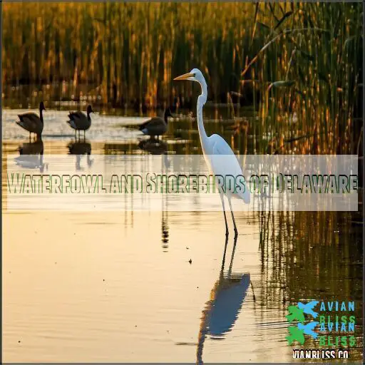 Backyard Birds of Delaware: 30 Beautiful Species to Spot in 2025