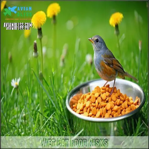 Can Birds Eat Cat Food? Shocking Truth About This Backyard Feeding Mistake!