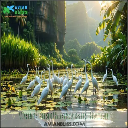 White Birds in Hawaii: Stunning Species You Need to Know About